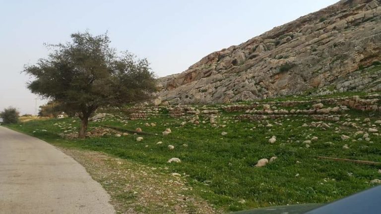 Enjoy Palestine Nature and Landscapes – Palestine Issue Magazine