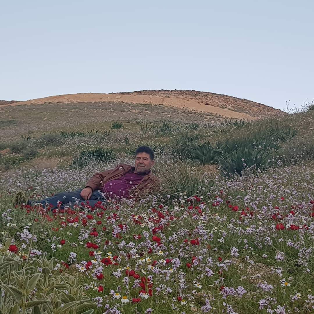 Spring arrived to Palestine Deserts – Palestine Issue Magazine