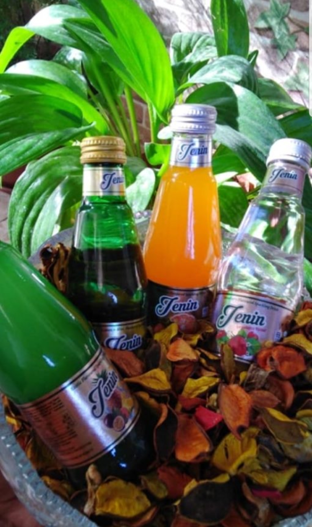 Jenin Soft Drink sees the light in London UK – Palestine Issue Magazine